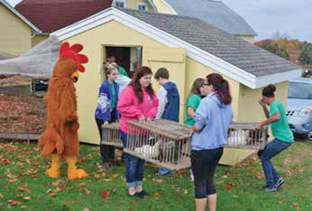 Students Adopt Chickens - Backyard Poultry
